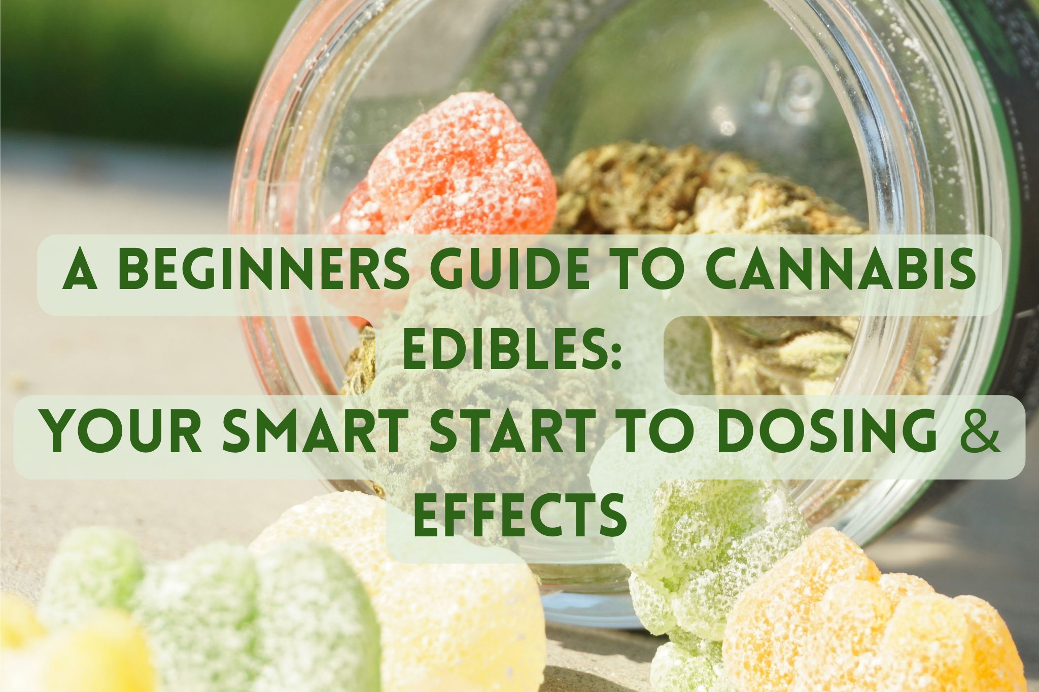 Sativa vs. Indica: The Definitive Guide to Their Key Differences and ...