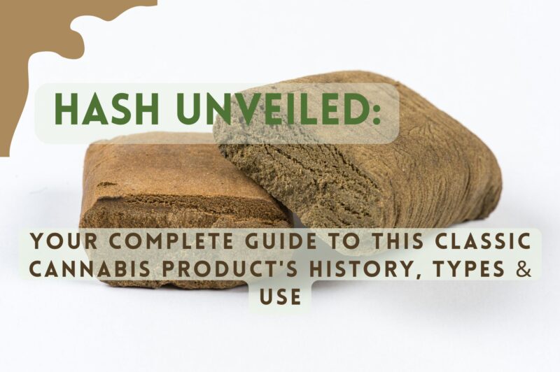 Sativa vs. Indica: The Definitive Guide to Their Key Differences and ...